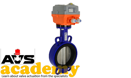 What is a Butterfly Valve? - AVS